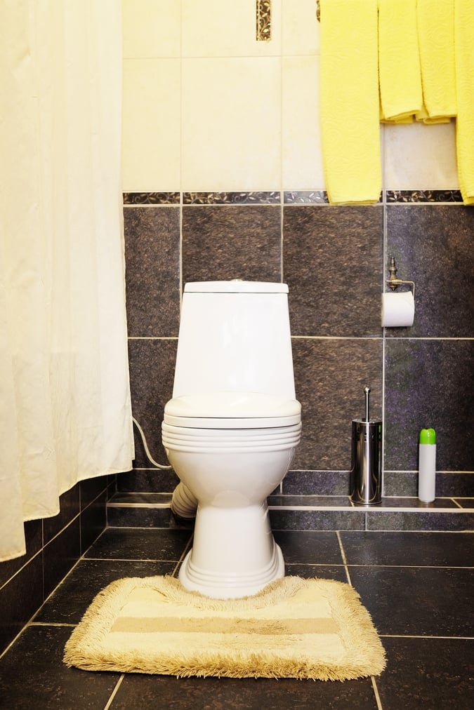 The Best High-Efficiency Toilets on the Market