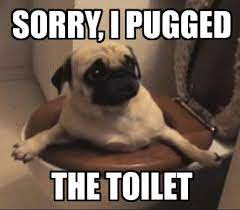 25 Funny Plumbing Memes & GIFs to Make You Laugh