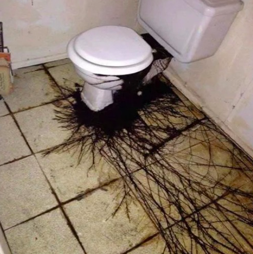 25 Funny Plumbing Memes & GIFs to Make You Laugh